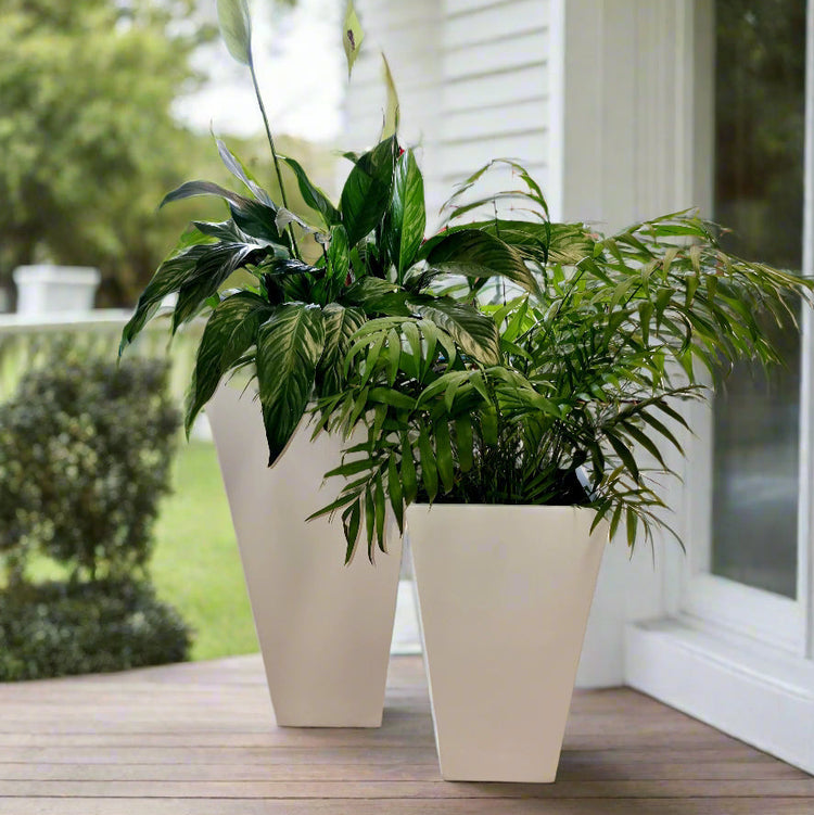 Fibreglass Pots | AUSTRALIA wide delivery available – Linda's Place Bundall